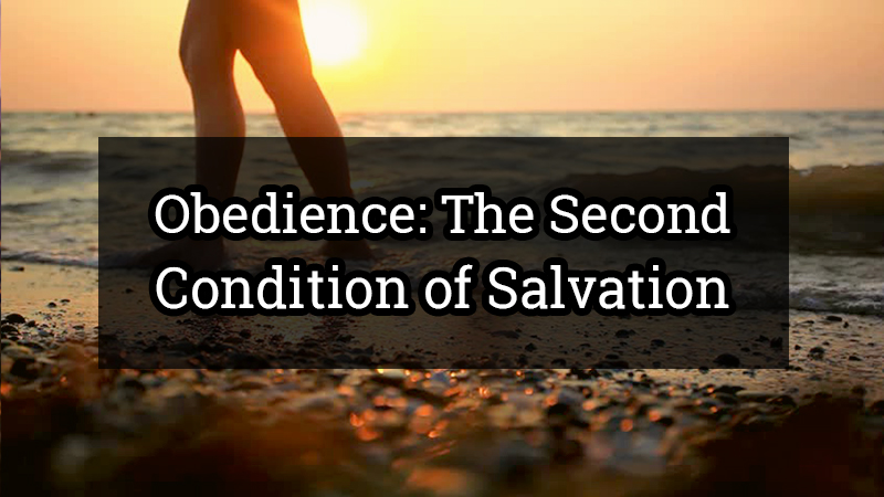 You Must Do The Will of God To Be Part of the Family of God – Revive Truth